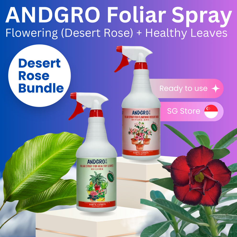 Foliar Spray for Flowering Desert Rose & Healthy Leaves | Andgro Singapore