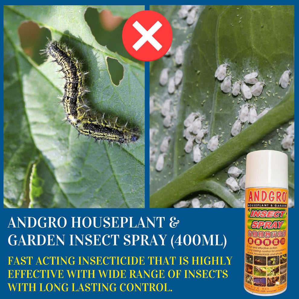 Insect Spray Insecticide 400ml - Effective Pest Control | Andgro Singapore