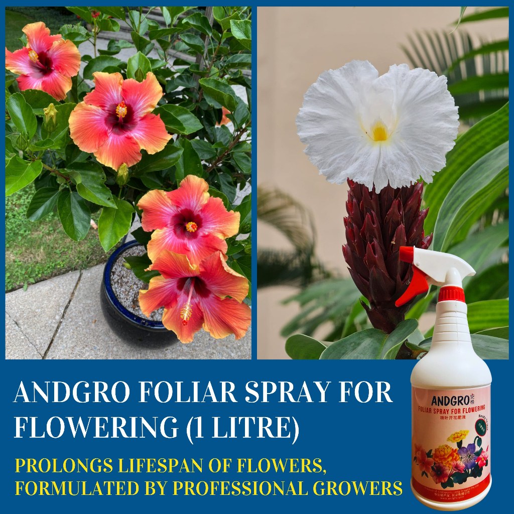 Foliar Spray for Flowering (1000ml) – Andgro Singapore
