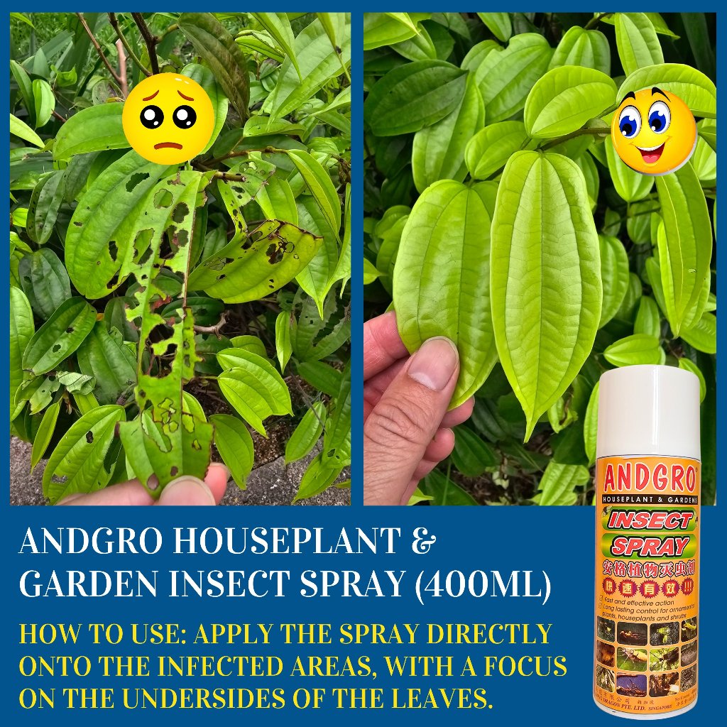 Insect Spray Insecticide 400ml - Effective Pest Control | Andgro Singapore