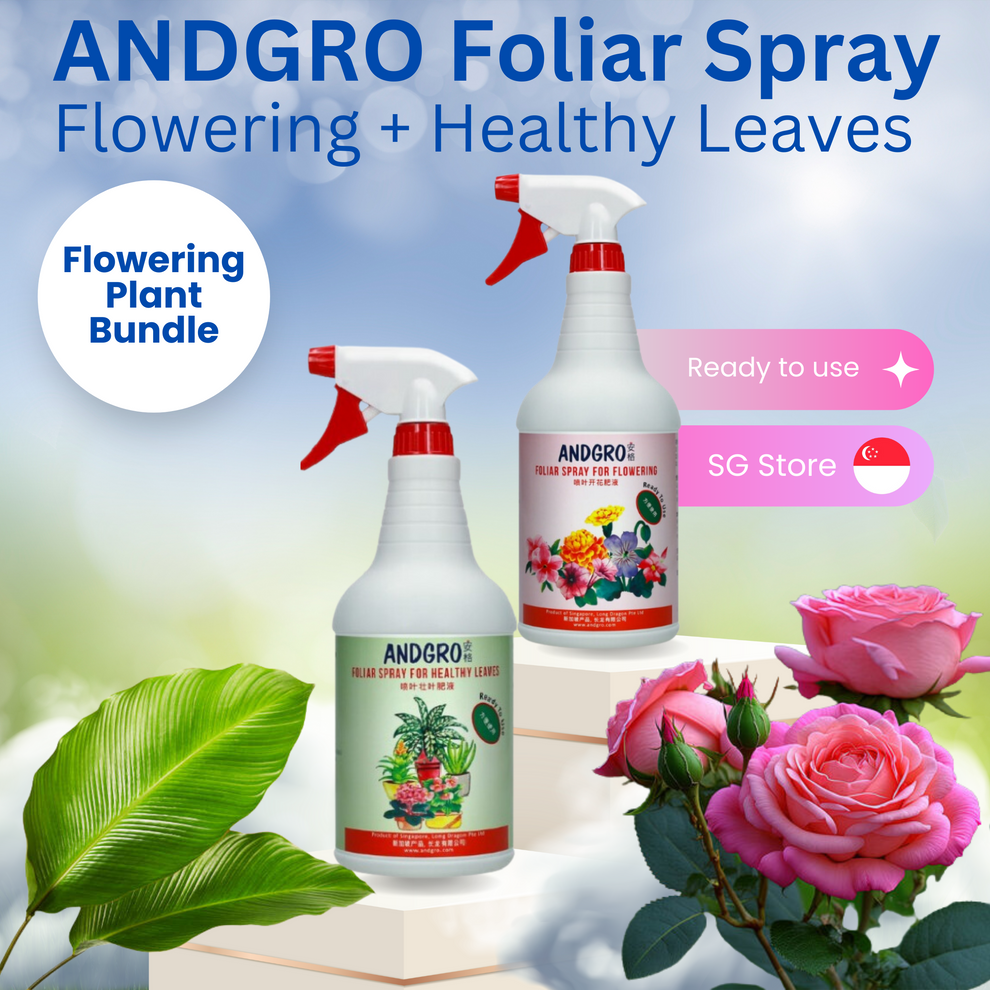 Foliar Spray for Flowering & Healthy Leaves Bundle Deal | Andgro Singapore