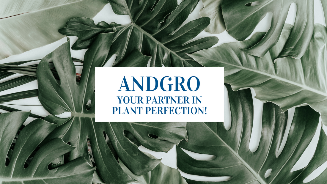 Andgro Singapore