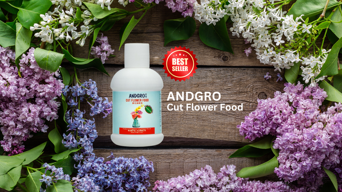 Andgro Singapore